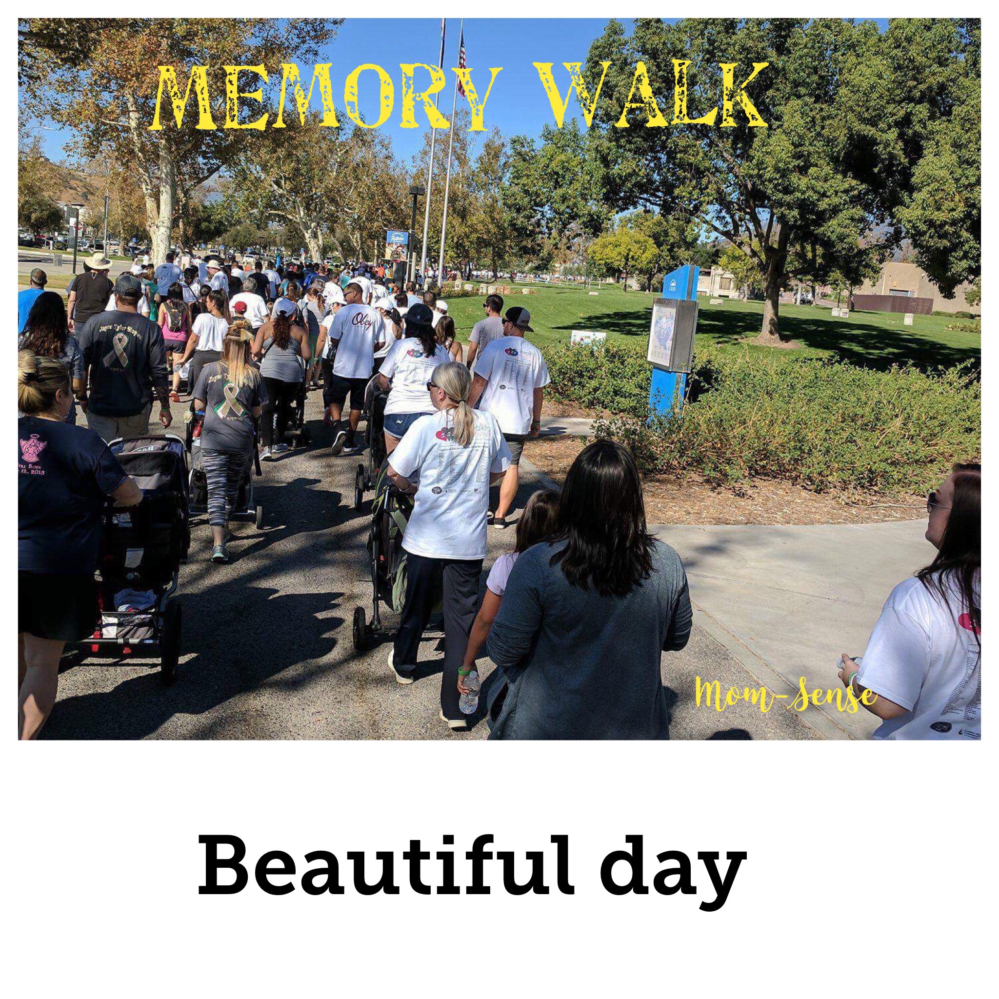 Memory Walk – Mom -Sense – Mentorship ~ Connection ~Service